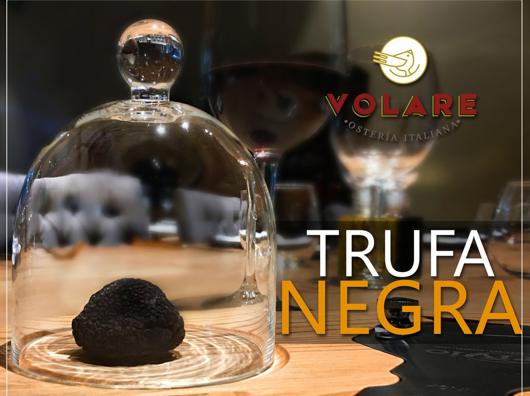 Volare Osteria Italiana - (圣路易斯坡托西)餐厅/美食点评 - 餐厅地址/餐厅电话/餐厅周边信息/餐厅推荐菜 ...