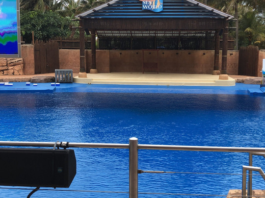 2025年2月U Shaka Marine World景点攻略-U Shaka Marine World门票预订|地址|图片-U Shaka ...