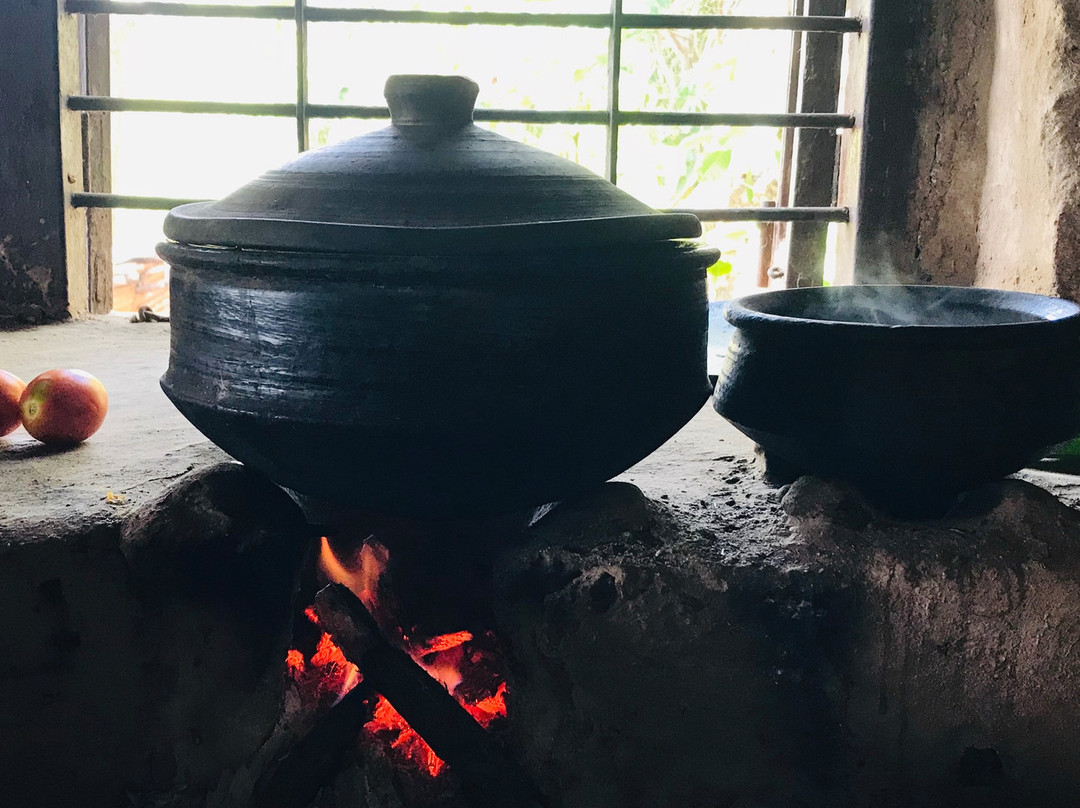 2024年3月Kurunji旅游景点攻略-Kurunji旅游住宿,-Kurunji旅游美食-猫途鹰