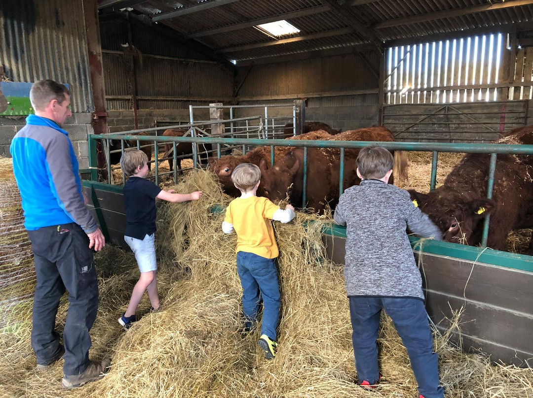 2024年9月Court Farm Country Park景点攻略-Court Farm Country Park门票预订|地址|图片 ...