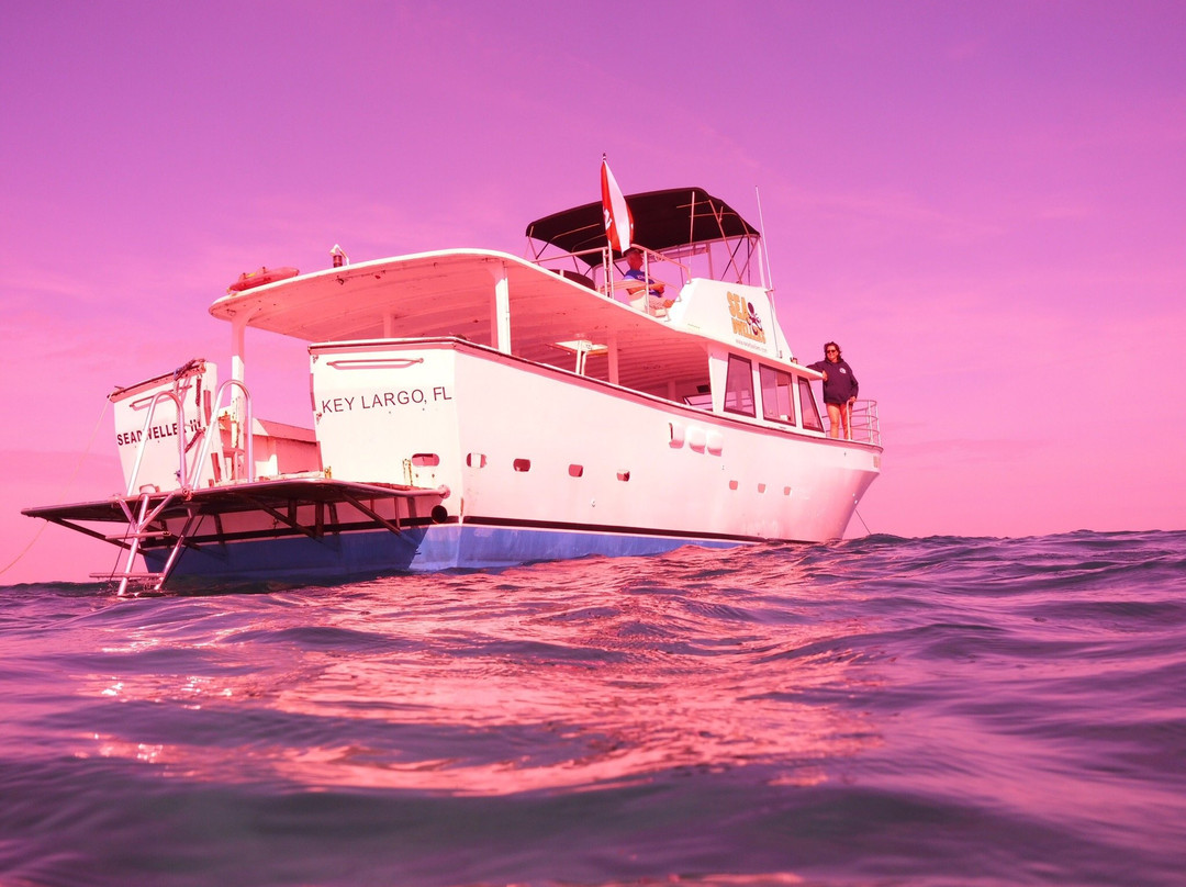 2023年11月Captain Ron's Diving景点攻略-Captain Ron's Diving门票预订|地址|图片-Captain ...