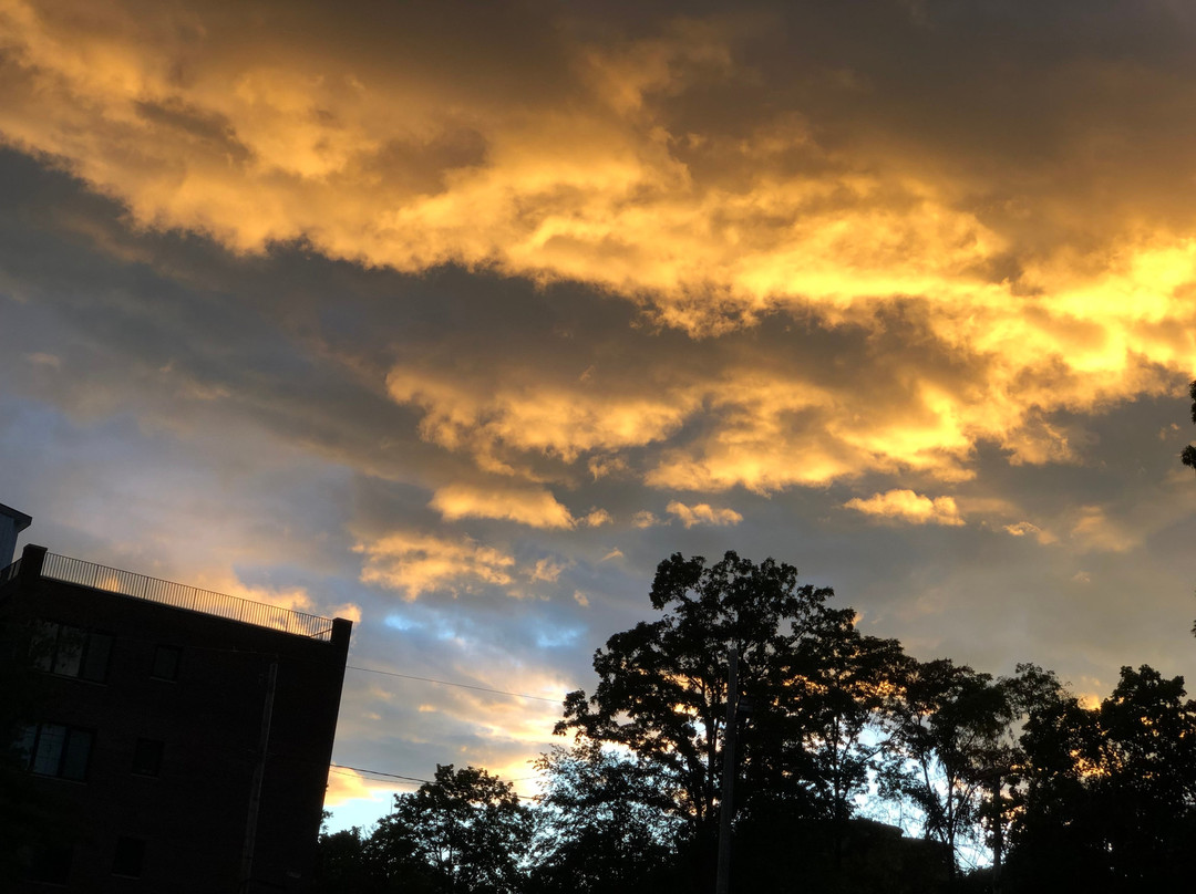 2024年10月Dia Beacon景点攻略-Dia Beacon门票预订|地址|图片-Dia Beacon景点点评-猫途鹰