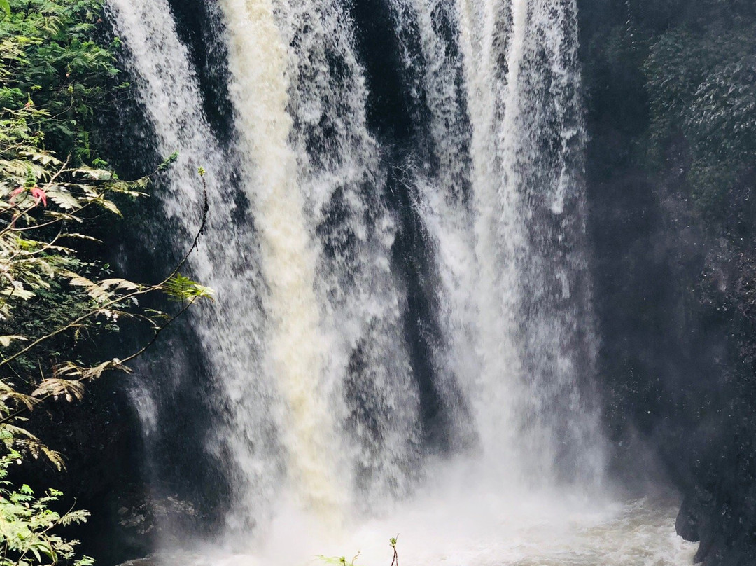 2024年9月Forest Park Conservation Area Tahura Ir. H. Juanda景点攻略-Forest ...