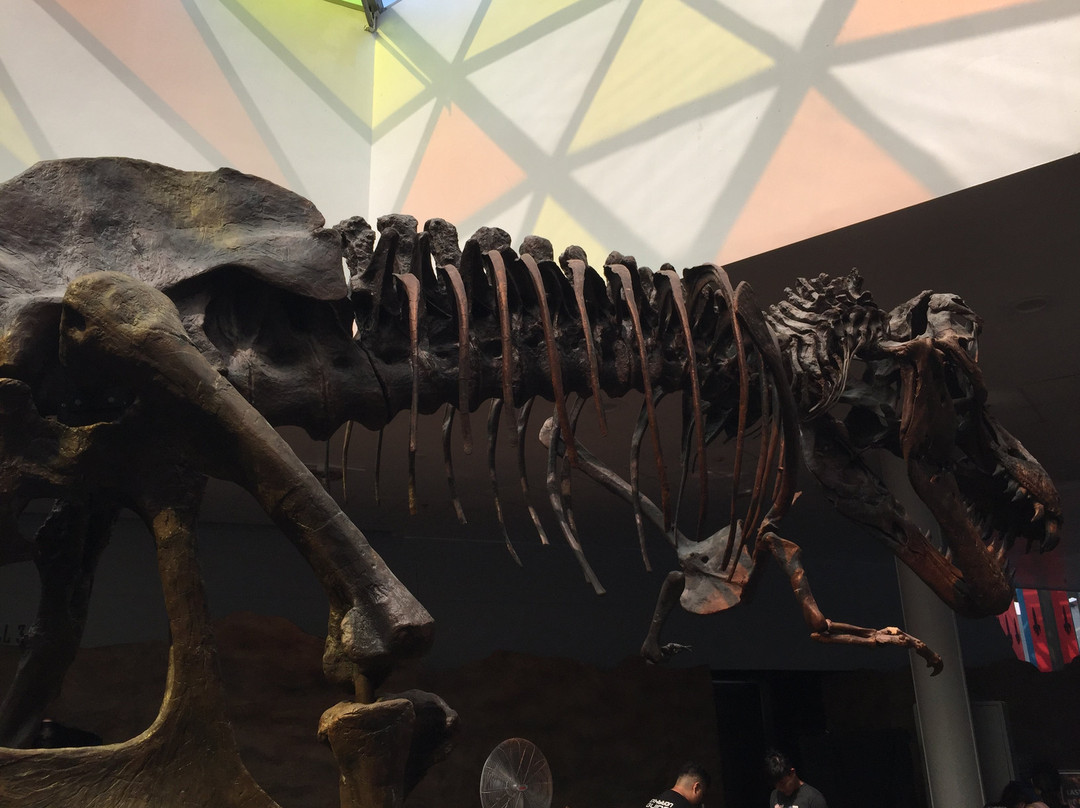 2025年3月新加坡科学馆景点攻略-新加坡科学馆门票预订|地址|图片-新加坡科学馆景点点评-猫途鹰