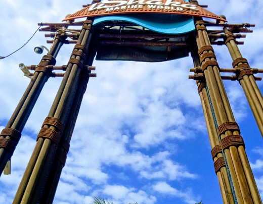 2025年3月U Shaka Marine World景点攻略-U Shaka Marine World门票预订|地址|图片-U Shaka ...