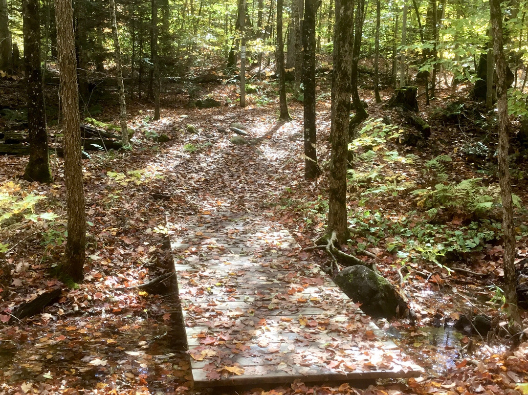 2025年5月Hawk Lake Log Chute景点攻略-Hawk Lake Log Chute门票预订|地址|图片-Hawk Lake ...