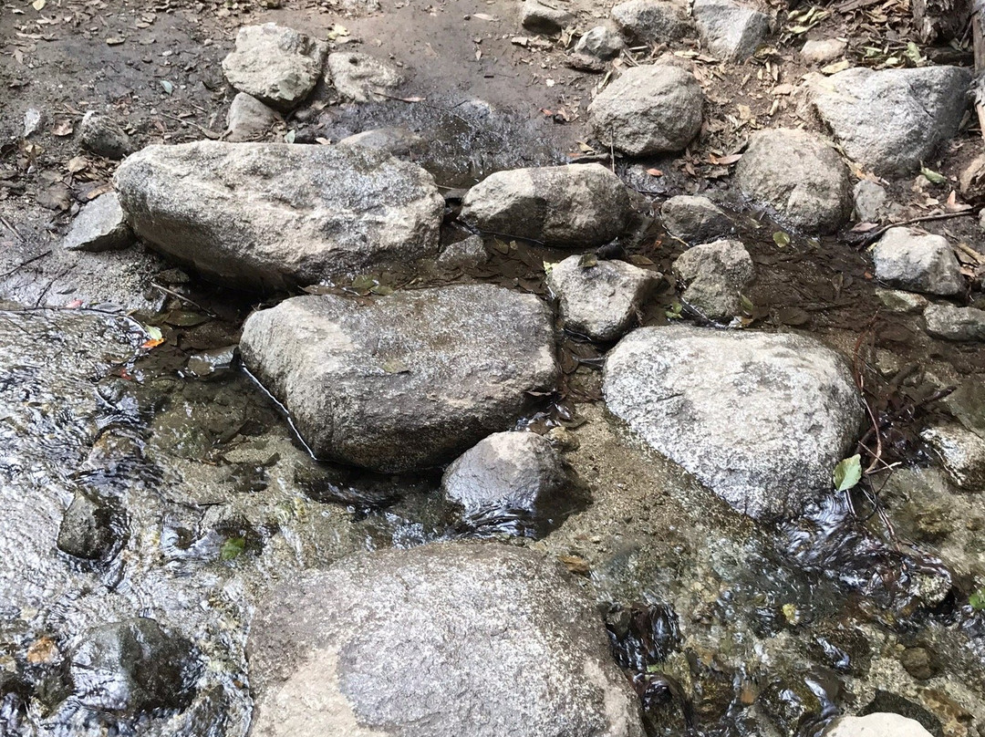 2025年10月Monrovia Canyon Park景点攻略-Monrovia Canyon Park门票预订|地址|图片 ...