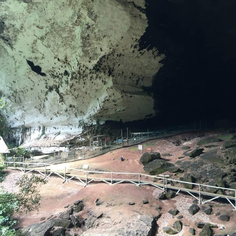 2024年1月Gua Niah景点攻略-Gua Niah门票预订|地址|图片-Gua Niah景点点评-猫途鹰