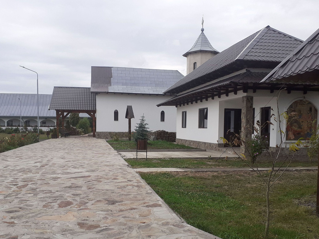 2024年8月Cenad景点攻略-Cenad旅游必去景点-Cenad景点大全-猫途鹰