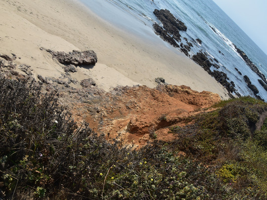 2024年9月Pescadero State Beach景点攻略-Pescadero State Beach门票预订|地址|图片 ...