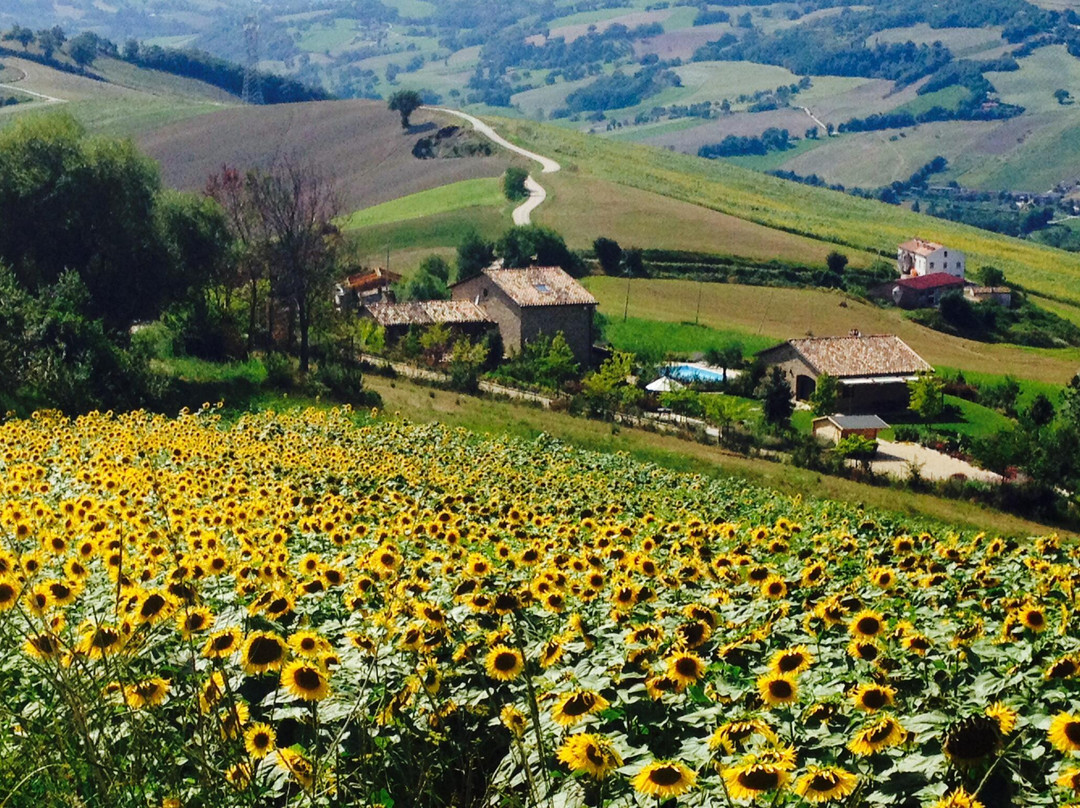 2023年Sant'Angelo In Pontano旅游攻略 - 8Sant'Angelo In Pontano酒店/景点/门票/美食/自助 ...