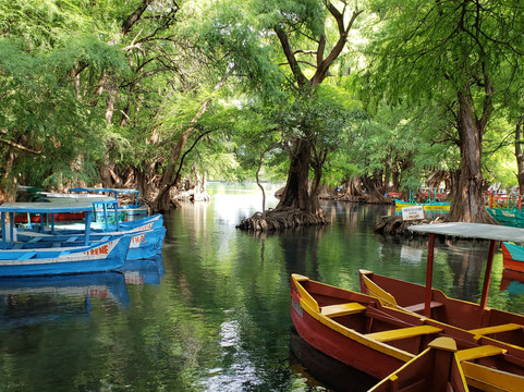 2024年10月Parque Nacional Lago de Camecuaro景点攻略-Parque Nacional Lago de ...