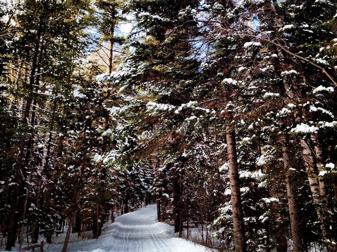 2025年1月Lester Park景点攻略-Lester Park门票预订|地址|图片-Lester Park景点点评-猫途鹰