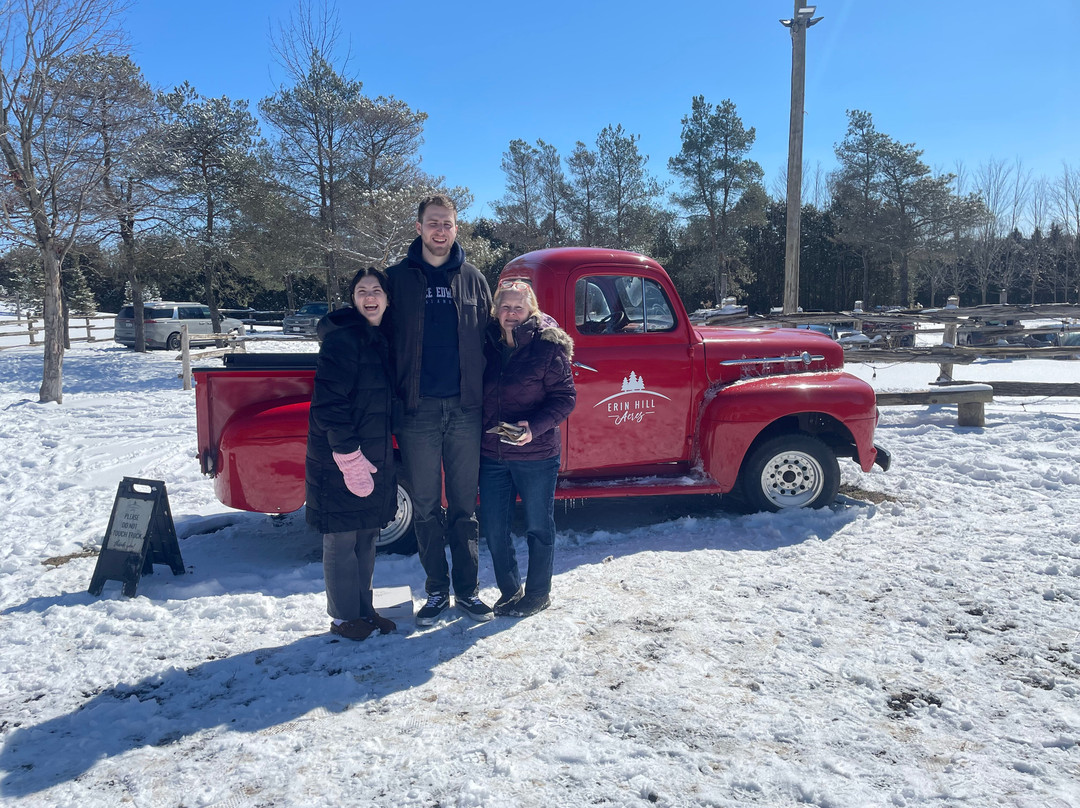 2024年7月Hillsburgh景点攻略-Hillsburgh旅游必去景点-Hillsburgh景点大全-猫途鹰