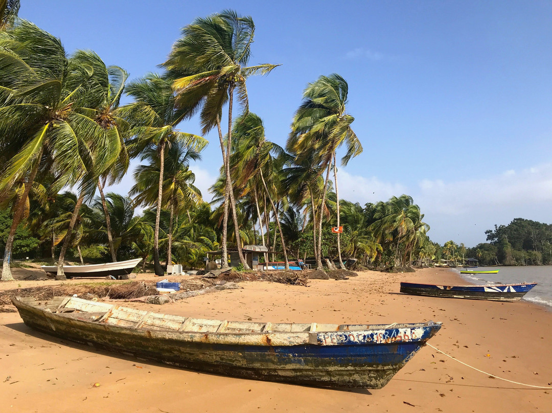2024年1月Galibi Nature Reserve景点攻略-Galibi Nature Reserve门票预订|地址|图片-Galibi ...