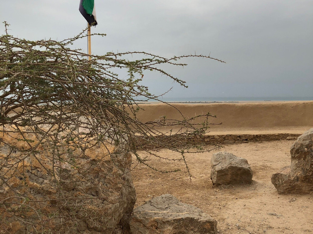 2025年3月Al Dhayah Fort景点攻略-Al Dhayah Fort门票预订|地址|图片-Al Dhayah Fort景点点评-猫途鹰