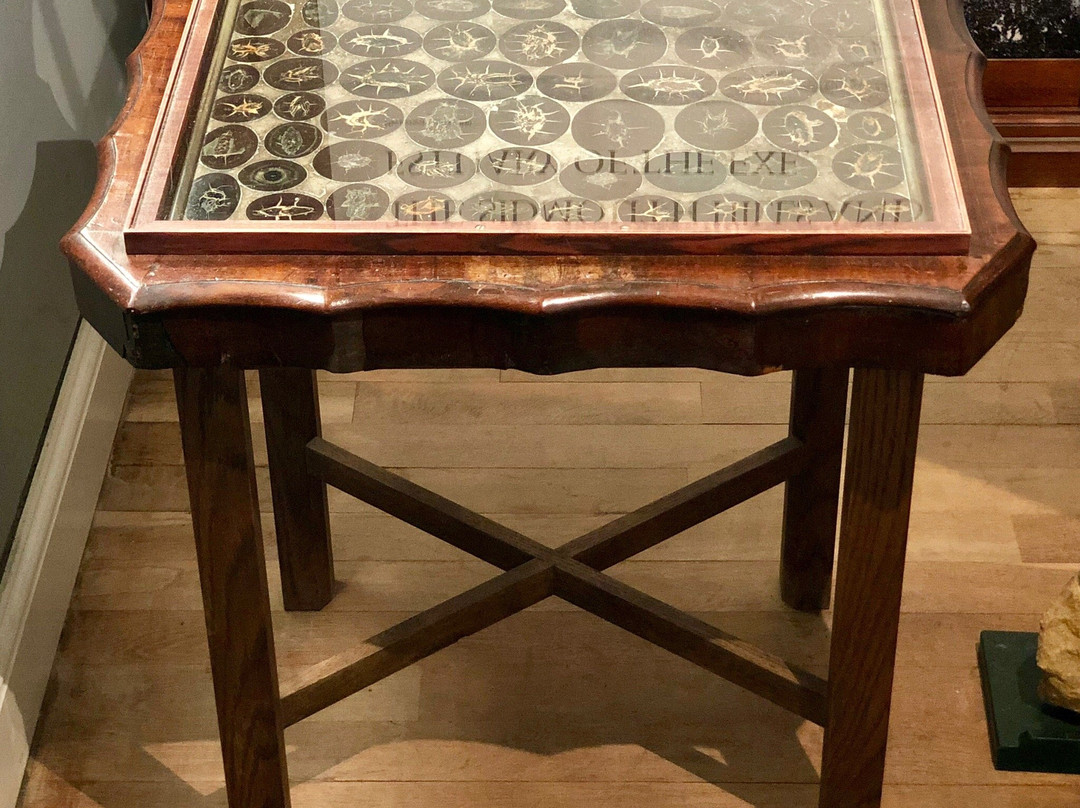 2025年1月Lyme Regis Philpot Museum景点攻略-Lyme Regis Philpot Museum门票预订|地址 ...