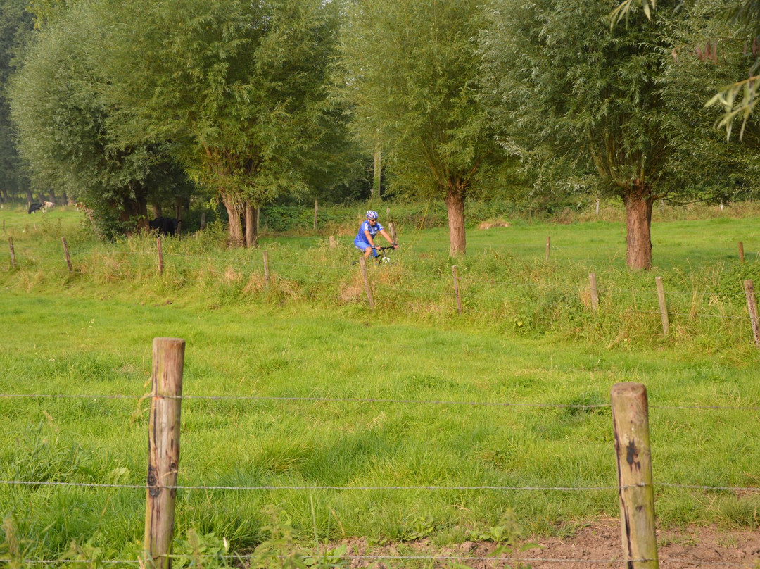 2025年12月Velzeke旅游景点攻略-Velzeke旅游住宿,-Velzeke旅游美食-猫途鹰