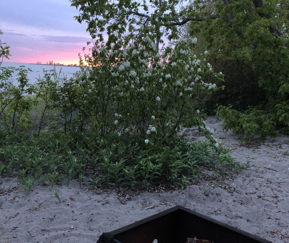 2024年11月Lundar Beach Provincial Park景点攻略-Lundar Beach Provincial Park门票 ...