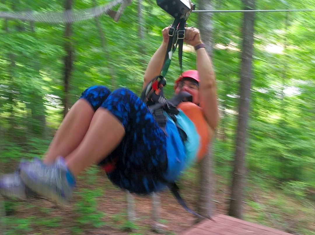 2023年11月Red River Gorge Zipline景点攻略-Red River Gorge Zipline门票预订|地址|图片 ...