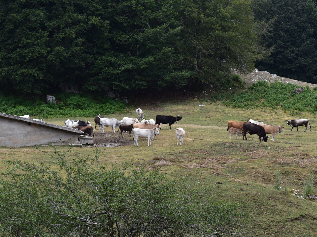 2023年12月Ottati旅游景点攻略-Ottati旅游住宿,-Ottati旅游美食-猫途鹰