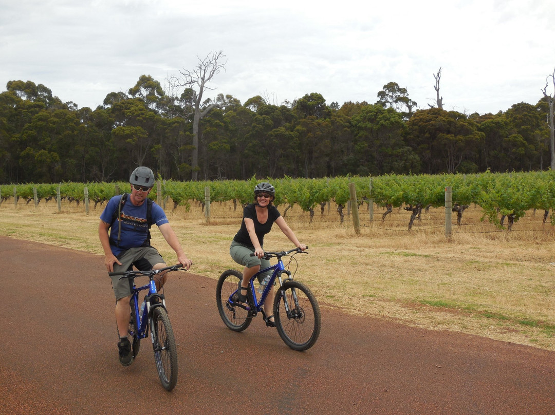 2023年12月Sip n Cycle Winery Tour景点攻略-Sip n Cycle Winery Tour门票预订|地址|图片-Sip n Cycle Winery Tour景点 ...