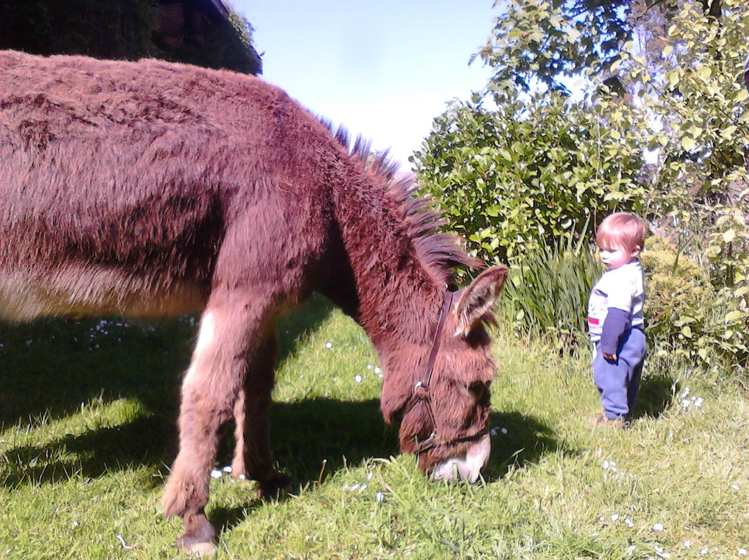 2024年10月Lanreath景点攻略-Lanreath旅游必去景点-Lanreath景点大全-猫途鹰