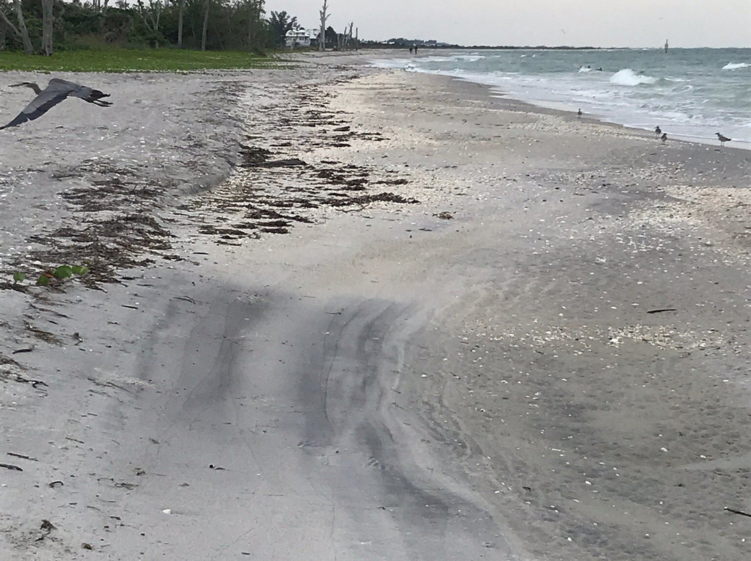 2023年11月Englewood Beach景点攻略-Englewood Beach门票预订|地址|图片-Englewood Beach景点 ...