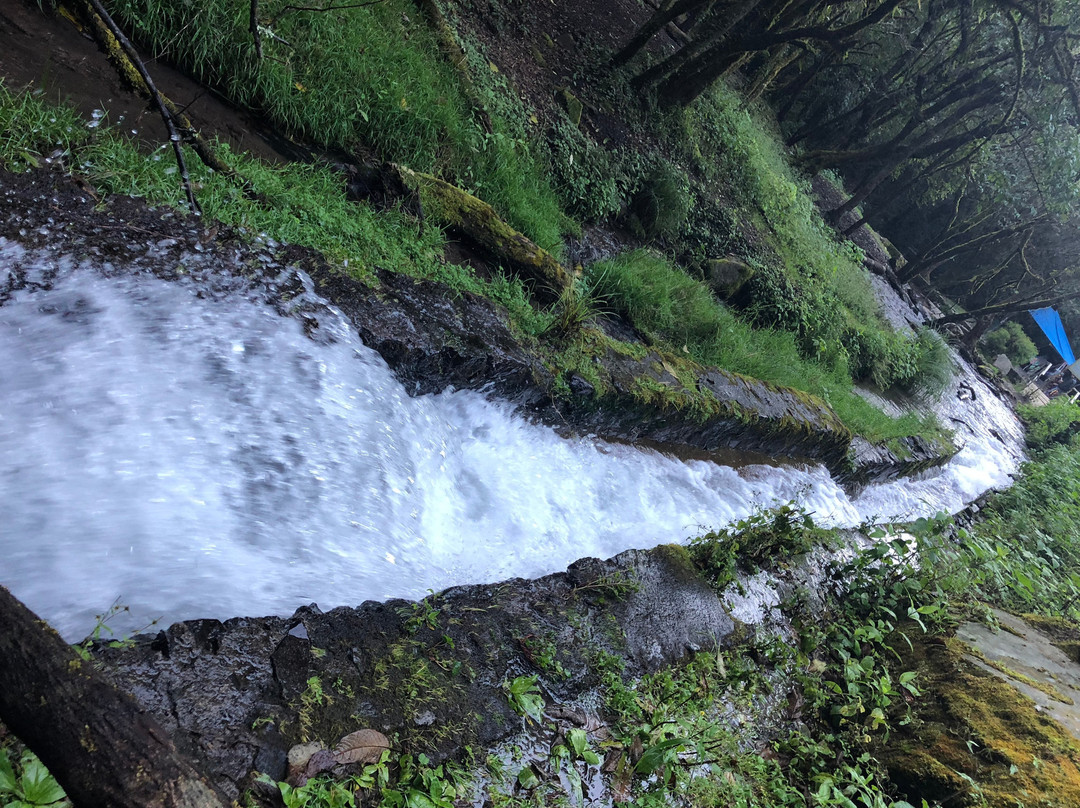 2024年2月Parque Ecoturistico Dos Aguas景点攻略-Parque Ecoturistico Dos Aguas ...