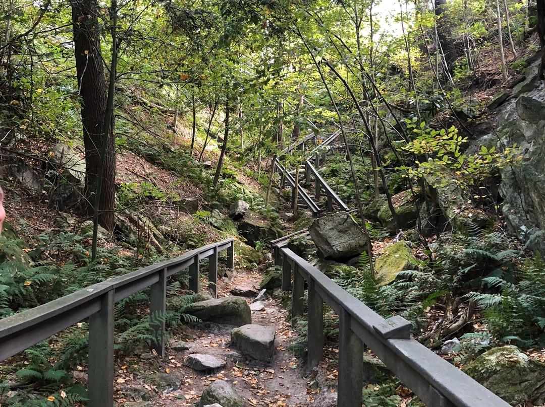 2024年11月Hawk Mountain Sanctuary景点攻略-Hawk Mountain Sanctuary门票预订|地址|图片 ...