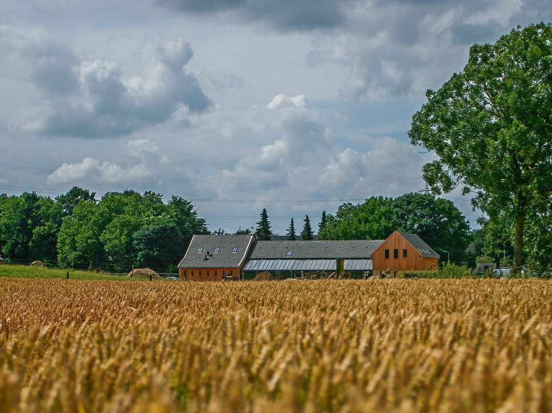 2025年8月Beek旅游景点攻略-Beek旅游住宿,-Beek旅游美食-猫途鹰