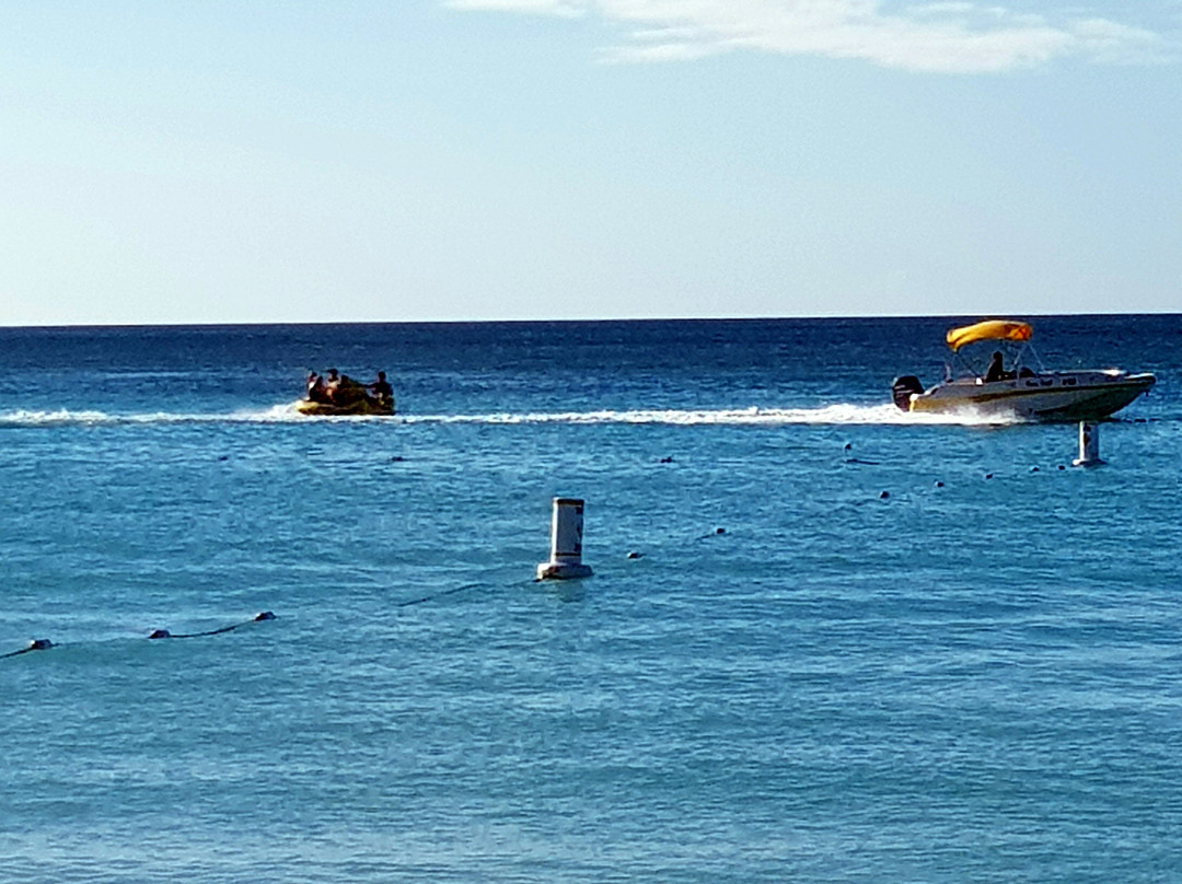 2023年11月Palm Beach景点攻略-Palm Beach门票预订|地址|图片-Palm Beach景点点评-猫途鹰