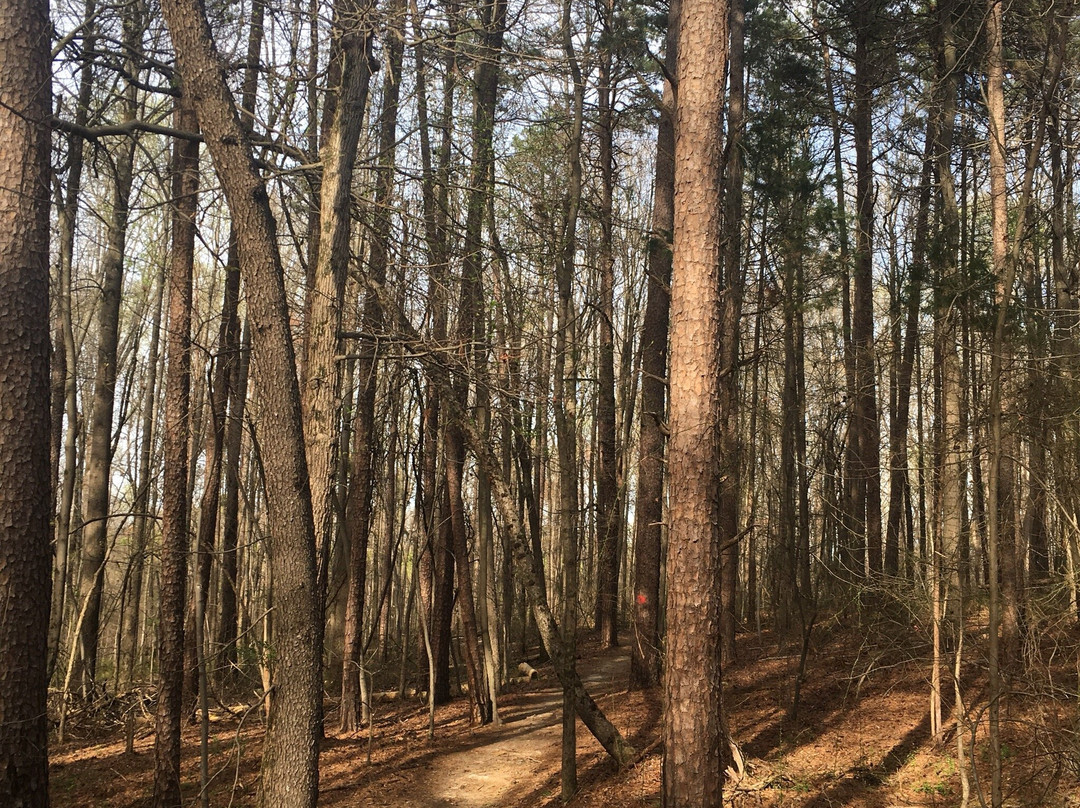 2023年12月Robbins Park景点攻略-Robbins Park门票预订|地址|图片-Robbins Park景点点评-猫途鹰