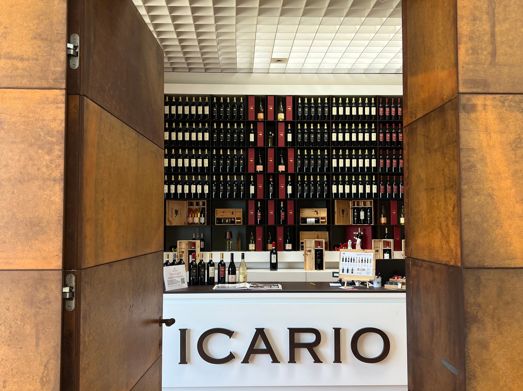 2025年1月Icario Winery景点攻略-Icario Winery门票预订|地址|图片-Icario Winery景点点评-猫途鹰