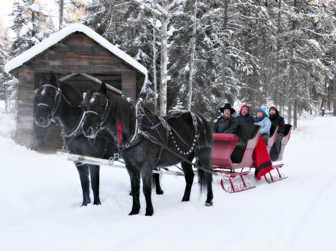 2024年1月Trego旅游景点攻略-Trego旅游住宿,-Trego旅游美食-猫途鹰