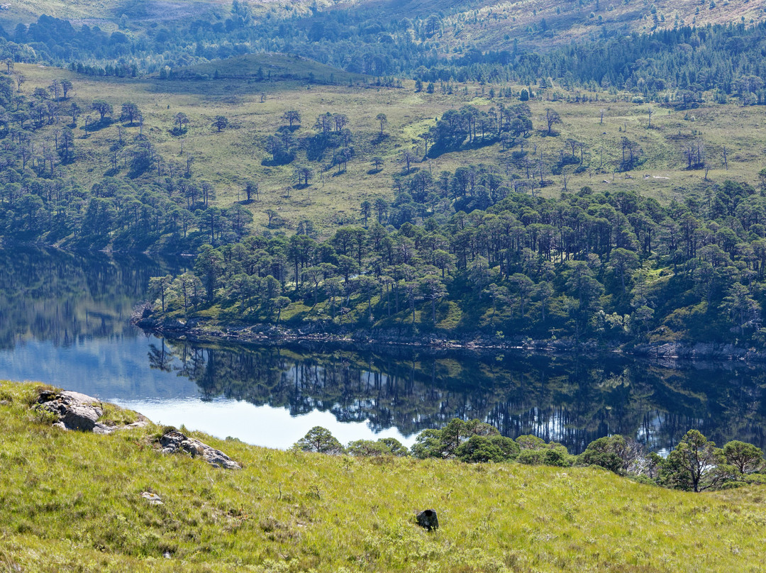 2023年11月Loch Affric Circular Walk景点攻略-Loch Affric Circular Walk门票预订|地址 ...