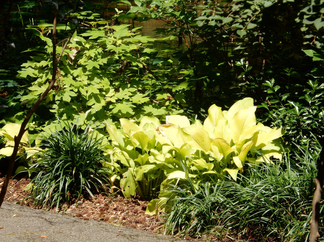 2024年11月Hatcher Garden and Woodland Preserve景点攻略-Hatcher Garden and ...