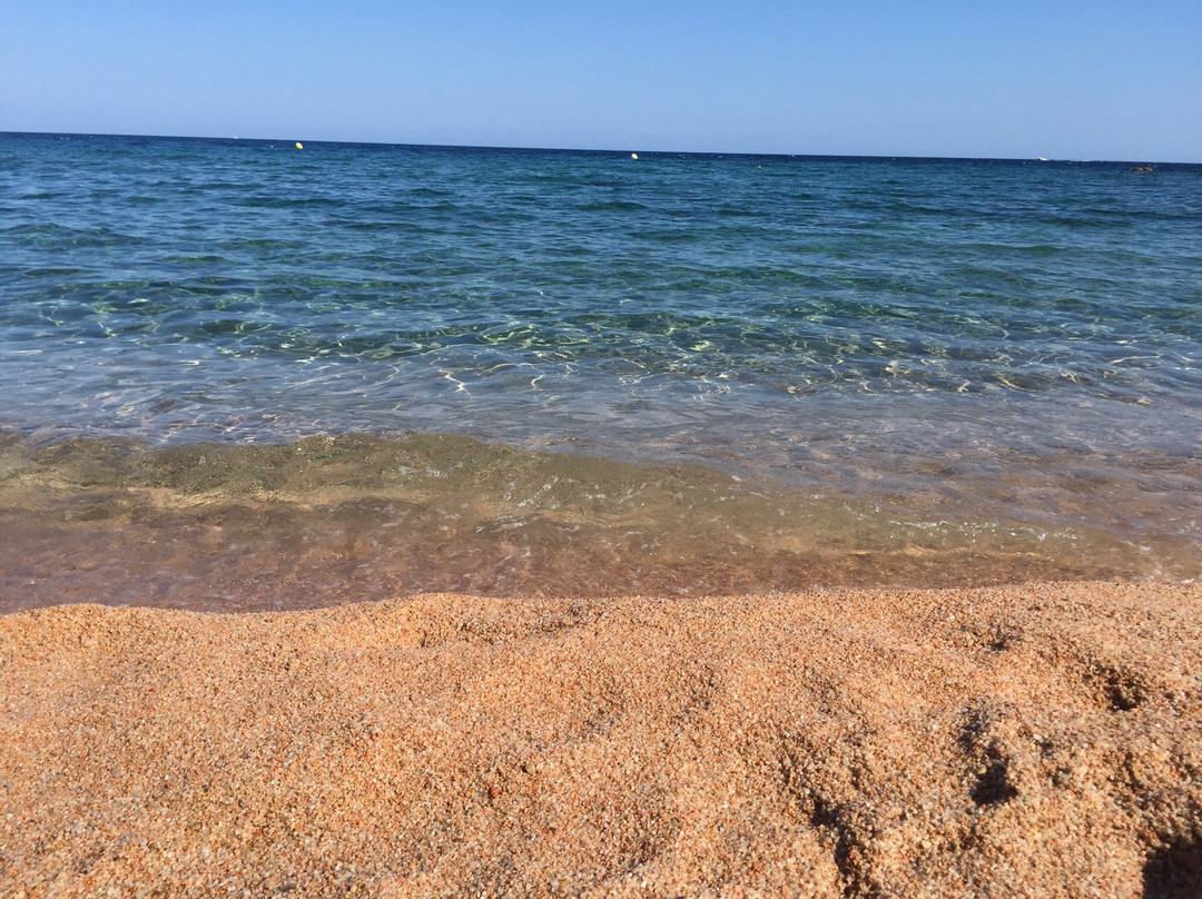 2025年2月Cala del Senyor Ramon景点攻略-Cala del Senyor Ramon门票预订|地址|图片-Cala ...