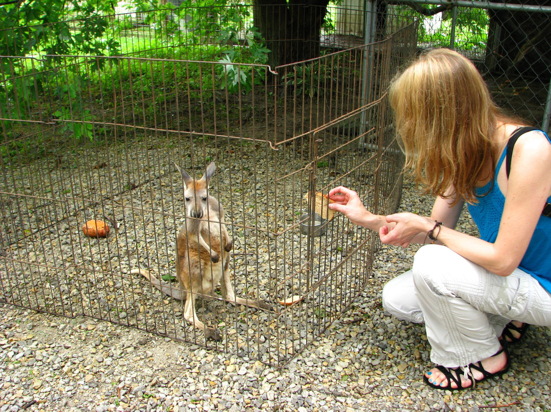 2023年12月Idle-Hour Ranch景点攻略-Idle-Hour Ranch门票预订|地址|图片-Idle-Hour Ranch景点 ...