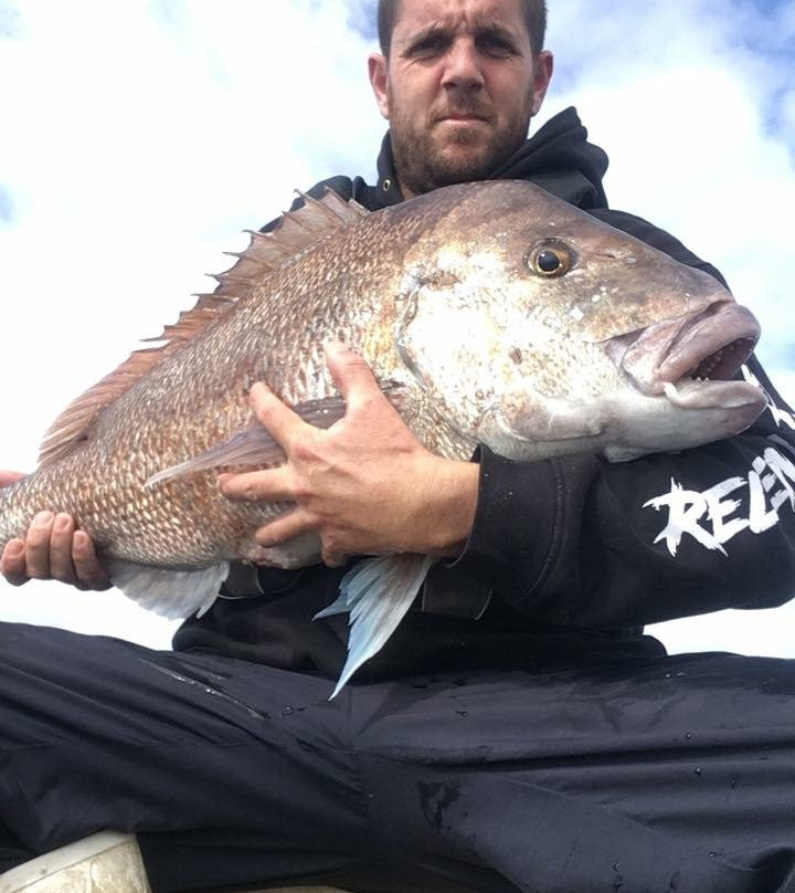 2025年6月Houhora旅游景点攻略-Houhora旅游住宿,-Houhora旅游美食-猫途鹰