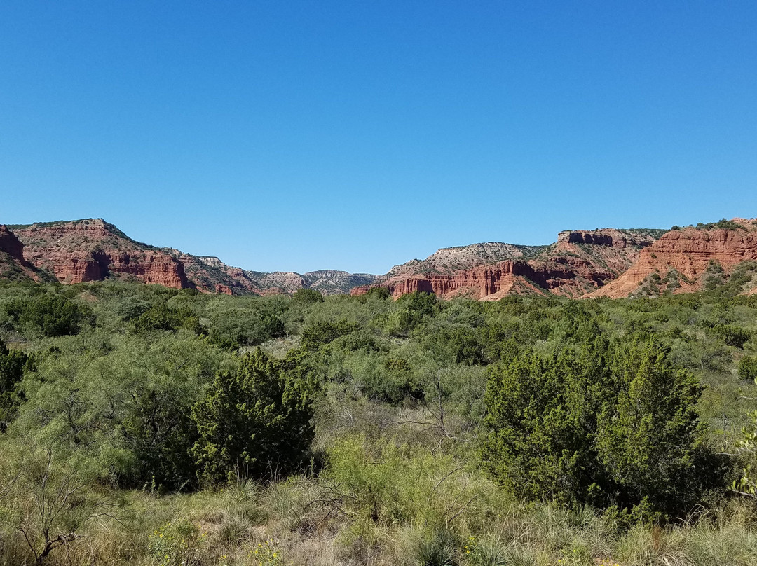2025年3月Caprock Canyons State Park景点攻略-Caprock Canyons State Park门票预订|地址 ...