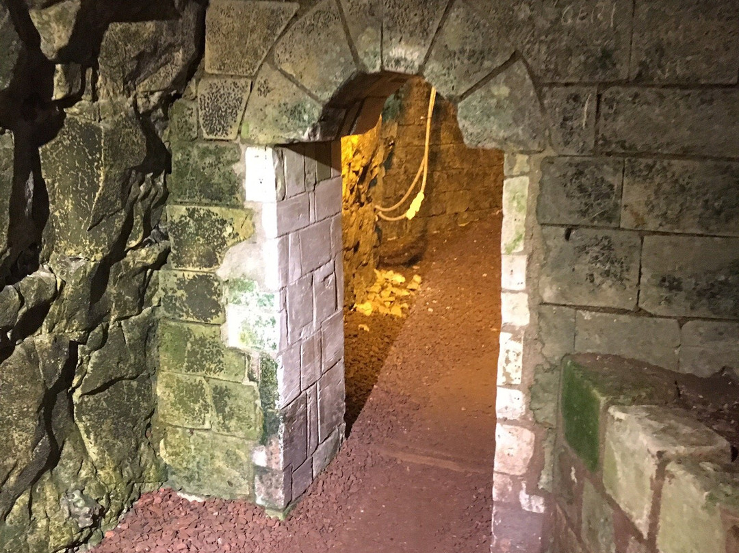 2024年12月Les Boves d'Arras景点攻略-Les Boves d'Arras门票预订|地址|图片-Les Boves d ...