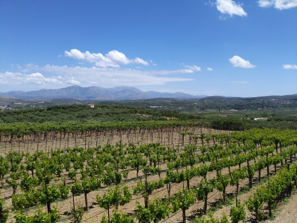 2025年2月Kounavi旅游景点攻略-Kounavi旅游住宿,-Kounavi旅游美食-猫途鹰