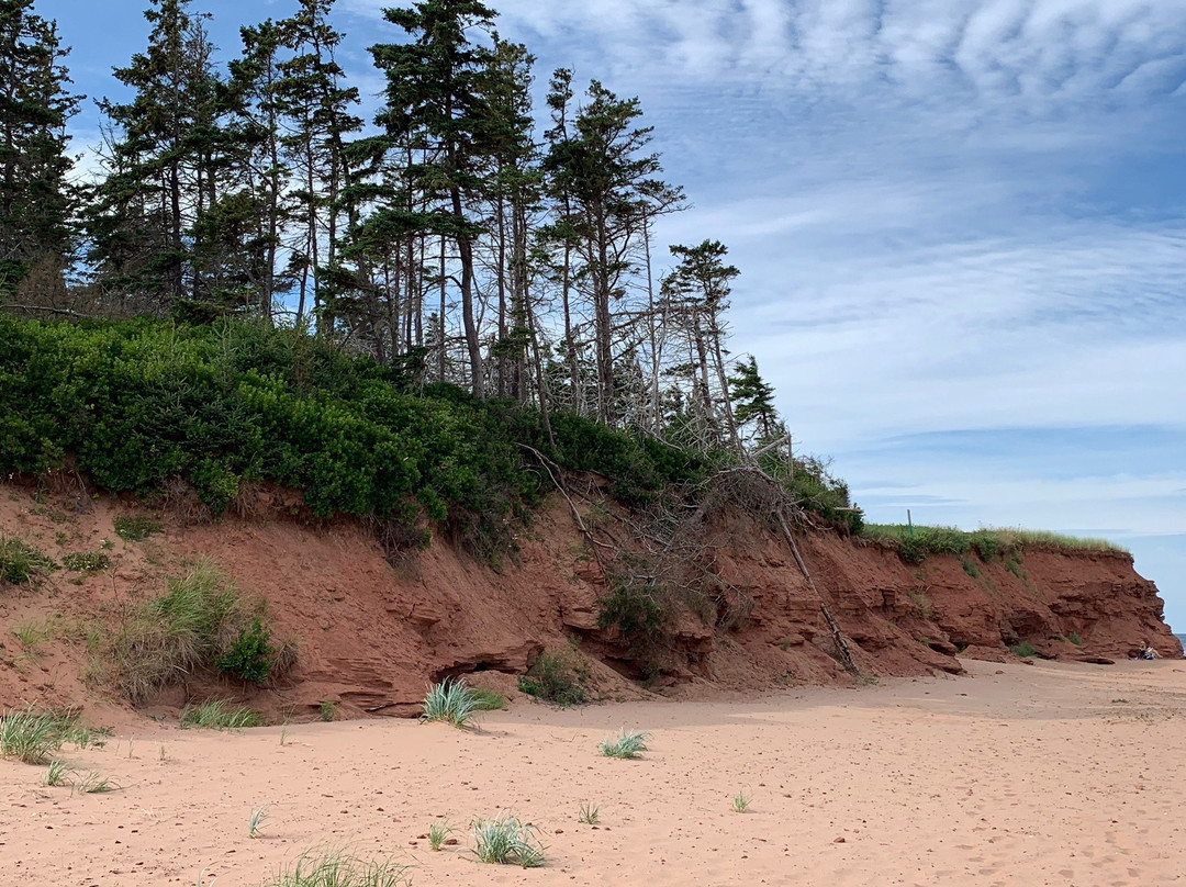 2023年12月Cabot Beach Provincial Park景点攻略-Cabot Beach Provincial Park门票预订 ...