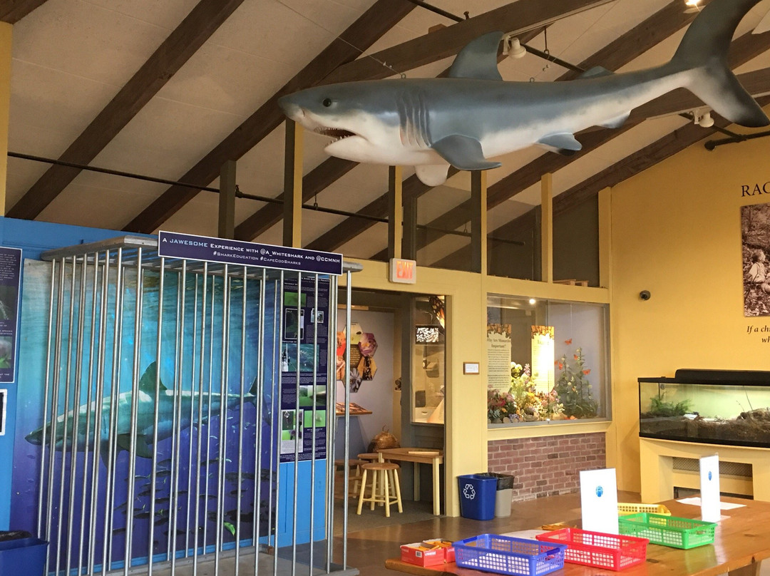 2024年9月Cape Cod Museum of Natural History景点攻略-Cape Cod Museum of ...