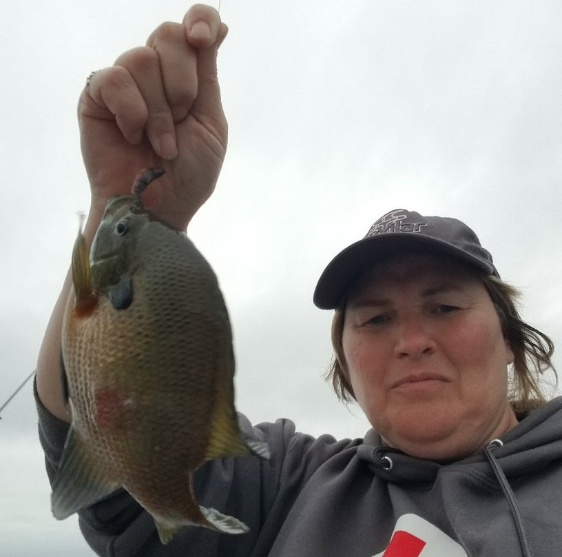 2025年6月Osakis旅游景点攻略-Osakis旅游住宿,-Osakis旅游美食-猫途鹰