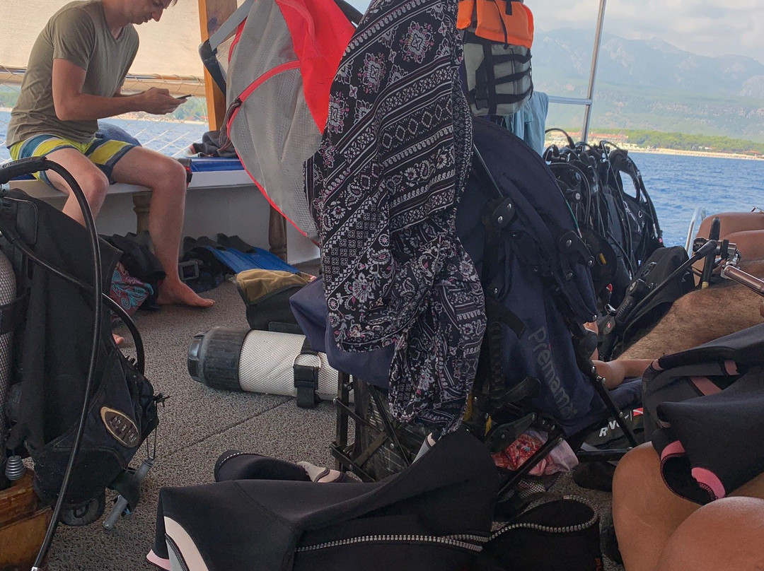 2025年2月Blue World Diving Center景点攻略-Blue World Diving Center门票预订|地址|图片 ...