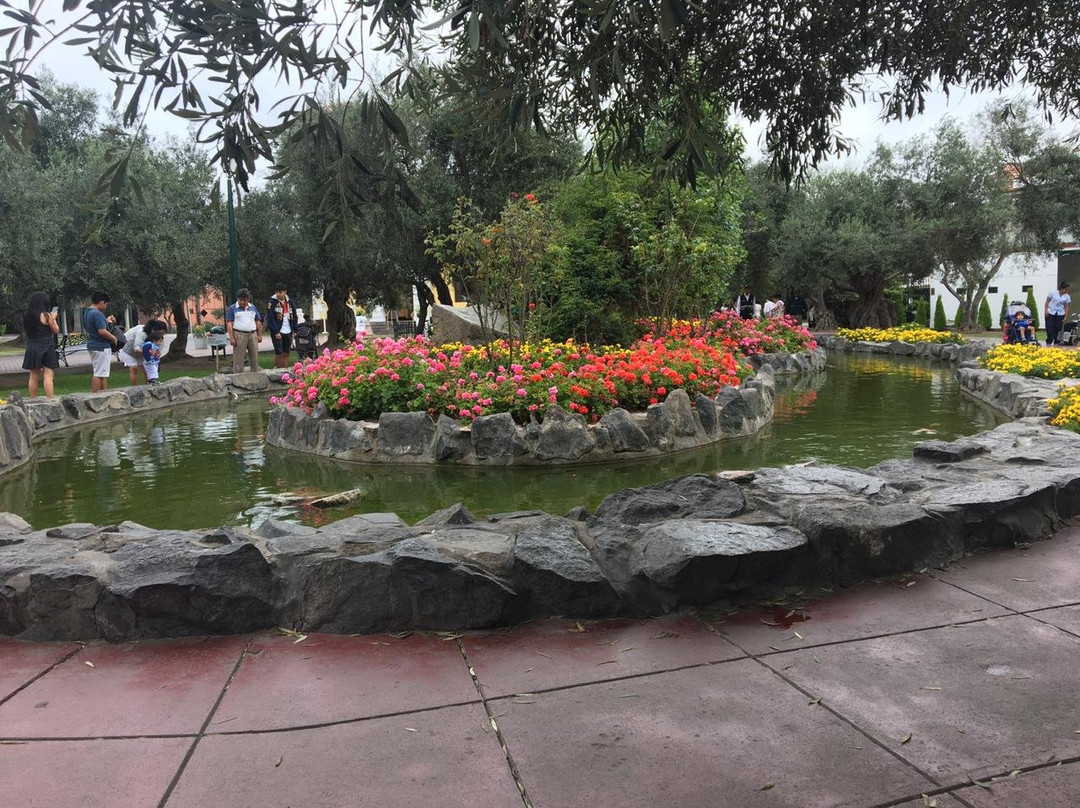 2025年3月Parque El Olivar de San Isidro景点攻略-Parque El Olivar de San ...