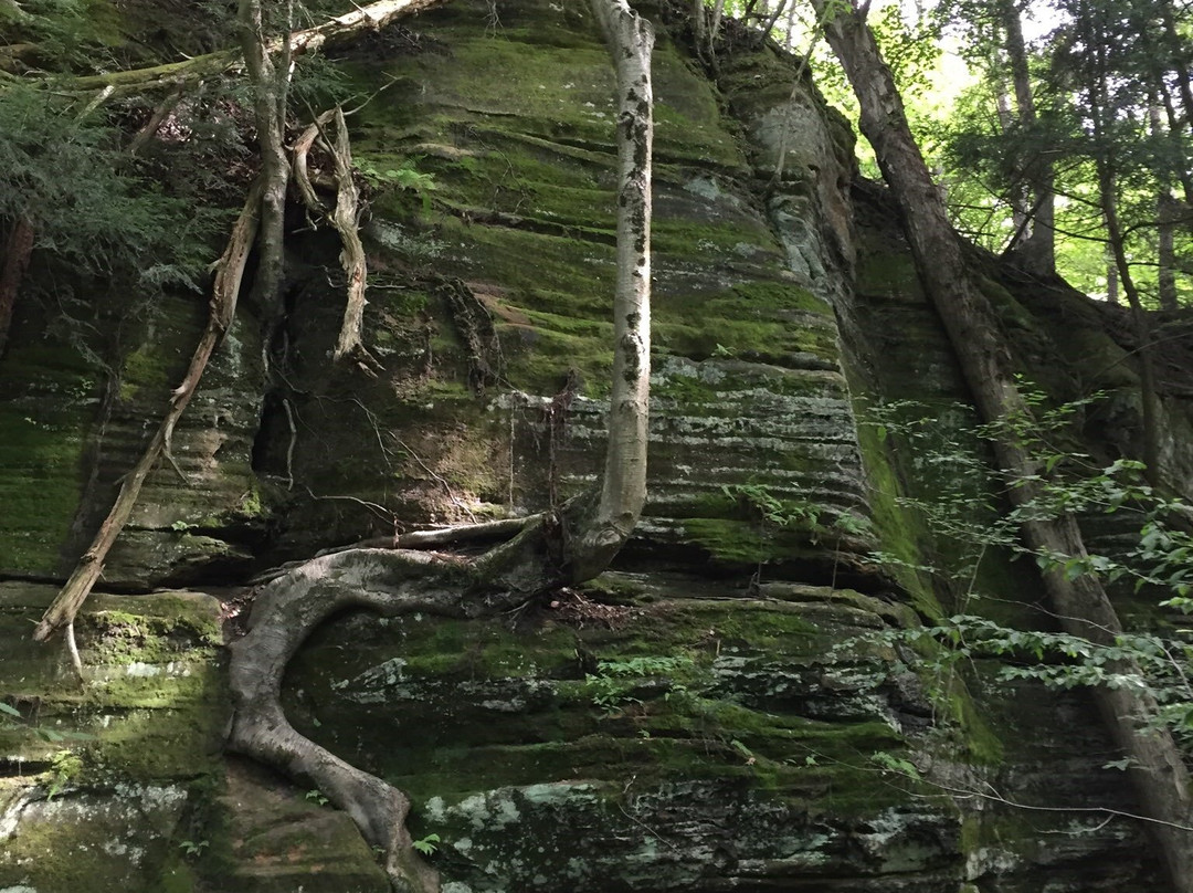 2025年1月Blackhand Gorge State Nature Preserve景点攻略-Blackhand Gorge State ...