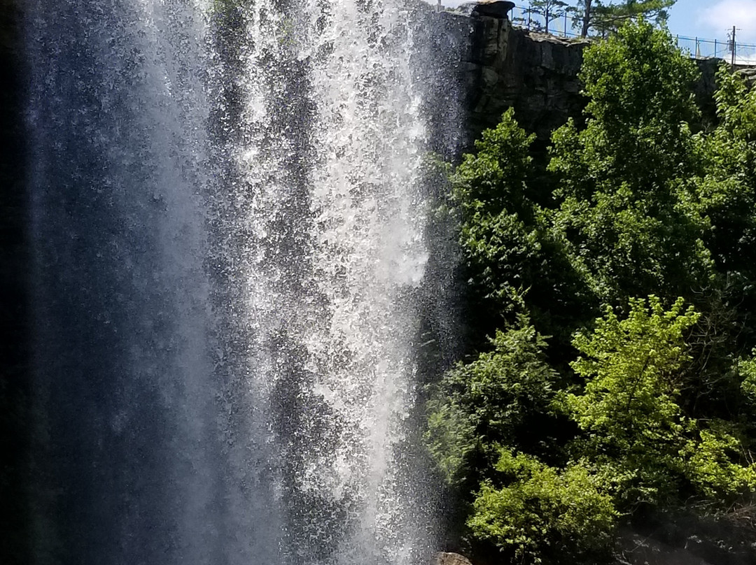 2024年12月Noccalula Falls Park & Campground景点攻略-Noccalula Falls Park & Campground门票预订|地址|图片 ...